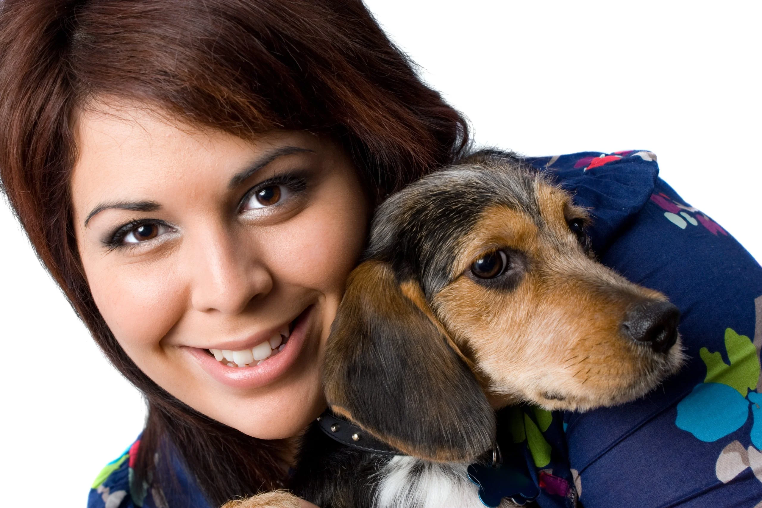 The Cutest Small Dog Breeds That Will Melt Your Heart | Small Dogs